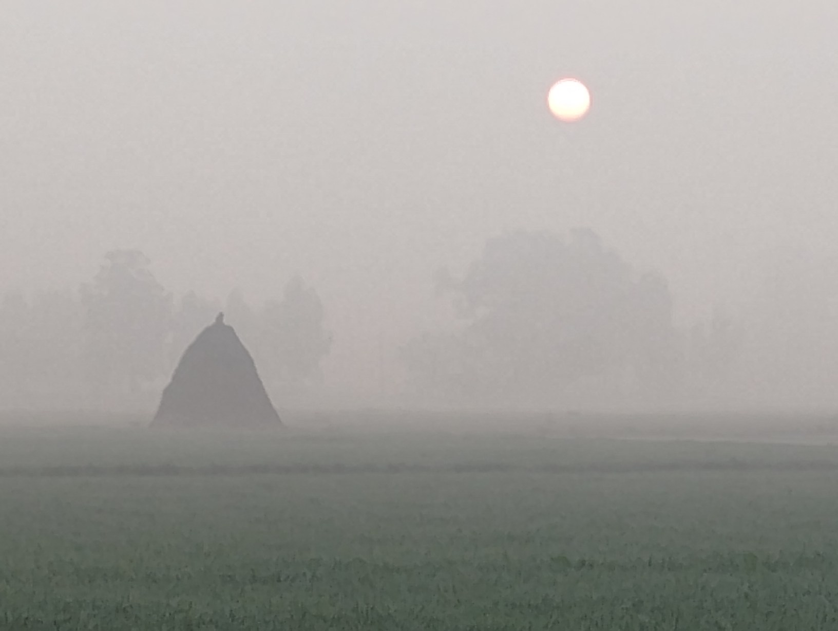 Showing up in the fog – Running with a Friend